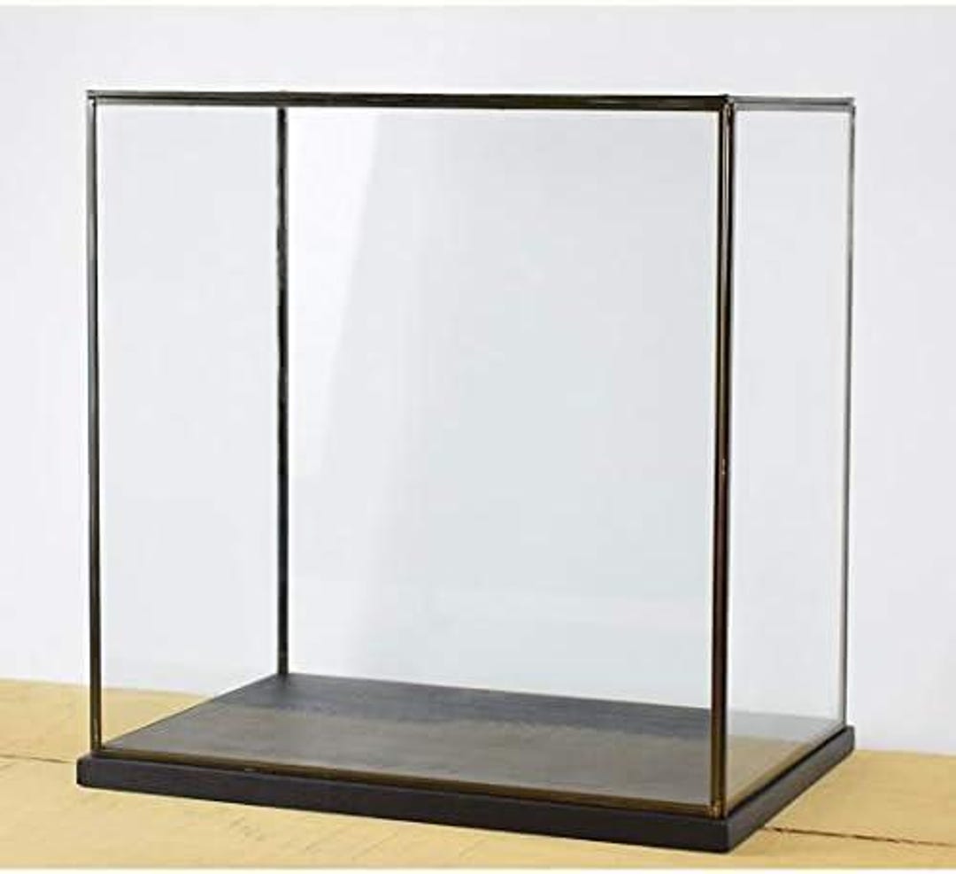 Hand Made Large Glass and Black Metal Frame Display Showcase Box With ...