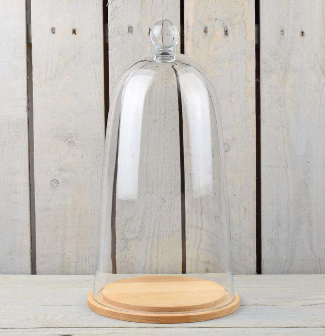EMH Large Mouth Blown Glass Display Cover Cloche Bell Dome With Natural ...