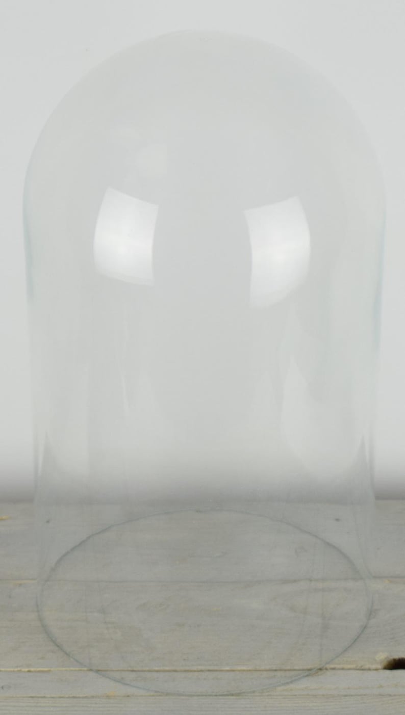 Glass Dome Display With Wooden Base Cloche Bell Jar Vintage Look 41 X ...