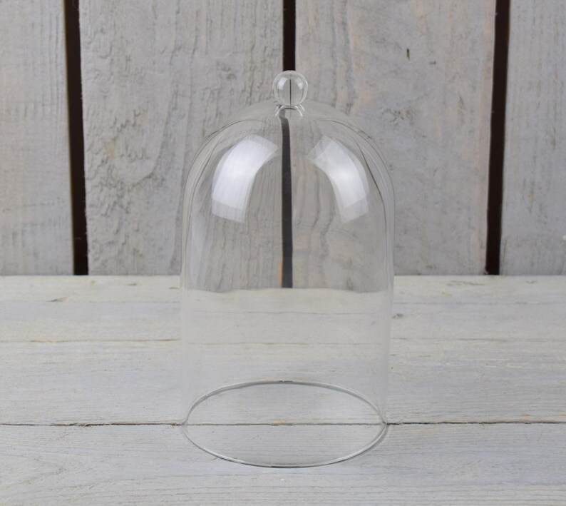 EMH Small Glass Dome Display Cloche Height With Knob 17.5 X 10 Cm - Etsy