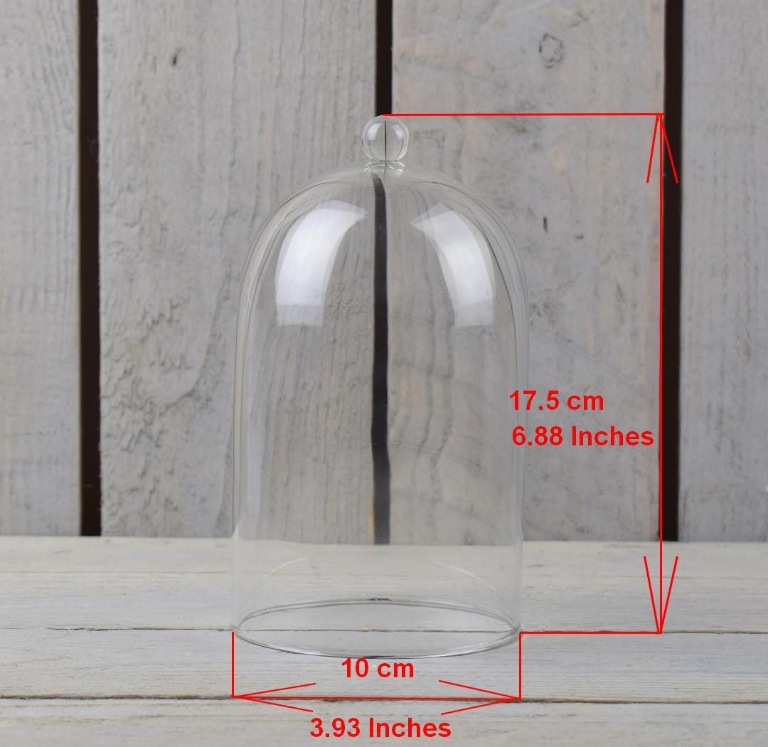 EMH Small Glass Dome Display Cloche Height With Knob 17.5 X 10 Cm - Etsy