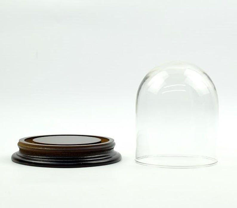 Vintage Look Small Glass Dome With Wooden Base Height 11.5 X 8 Cm - Etsy
