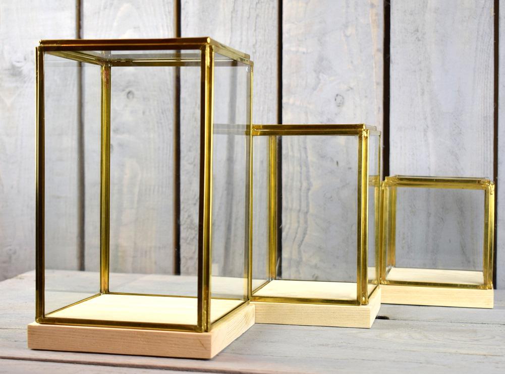 Glass and Brass Display Showcase Box Dome With Wooden Base Tall 17.5 Cm ...
