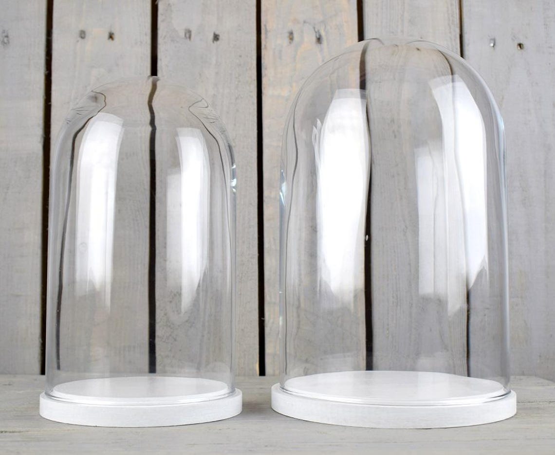 Medium Glass Dome Display Cover Cloche White Base Height 31cm - Etsy