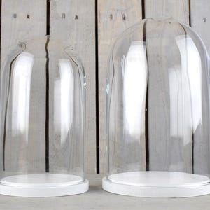 Medium Glass Dome Display Cover Cloche White Base Height 31cm - Etsy