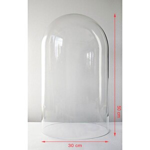 Large Handmade Mouth Blown Glass Dome With Natural Wooden Base 52x31 Cm ...