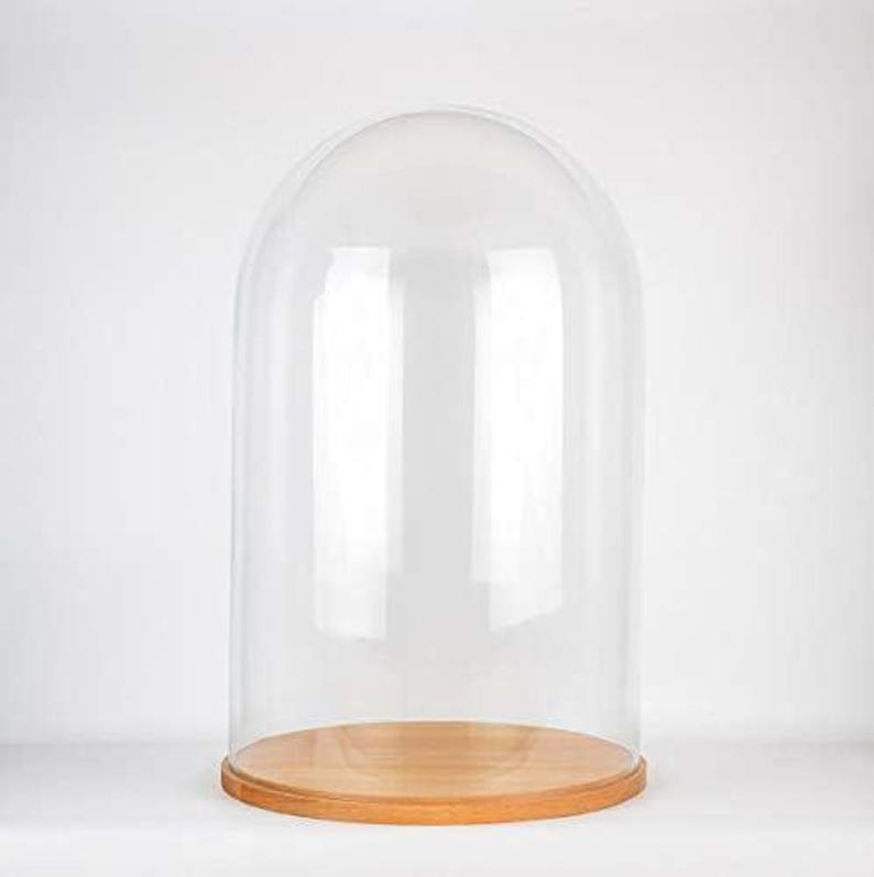 Large Glass Dome Cover Cloche Display With Wooden Natural Base Height ...