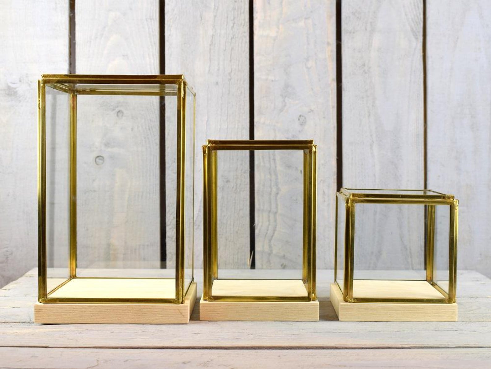 Glass and Brass Display Showcase Box Dome With Wooden Base Tall 17.5 Cm ...