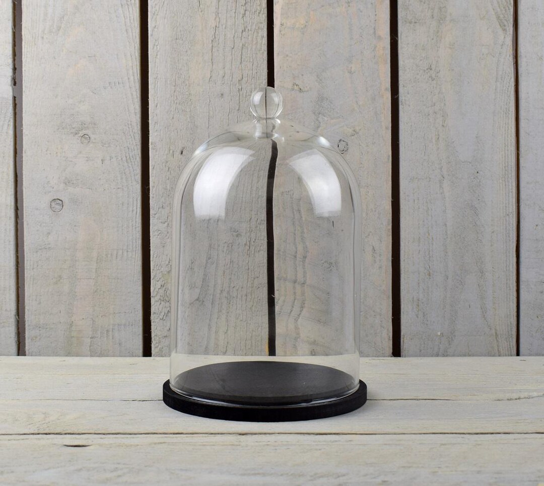EMH Handmade Clear Circular Glass Cloche Dome Bell With Knob and Black ...