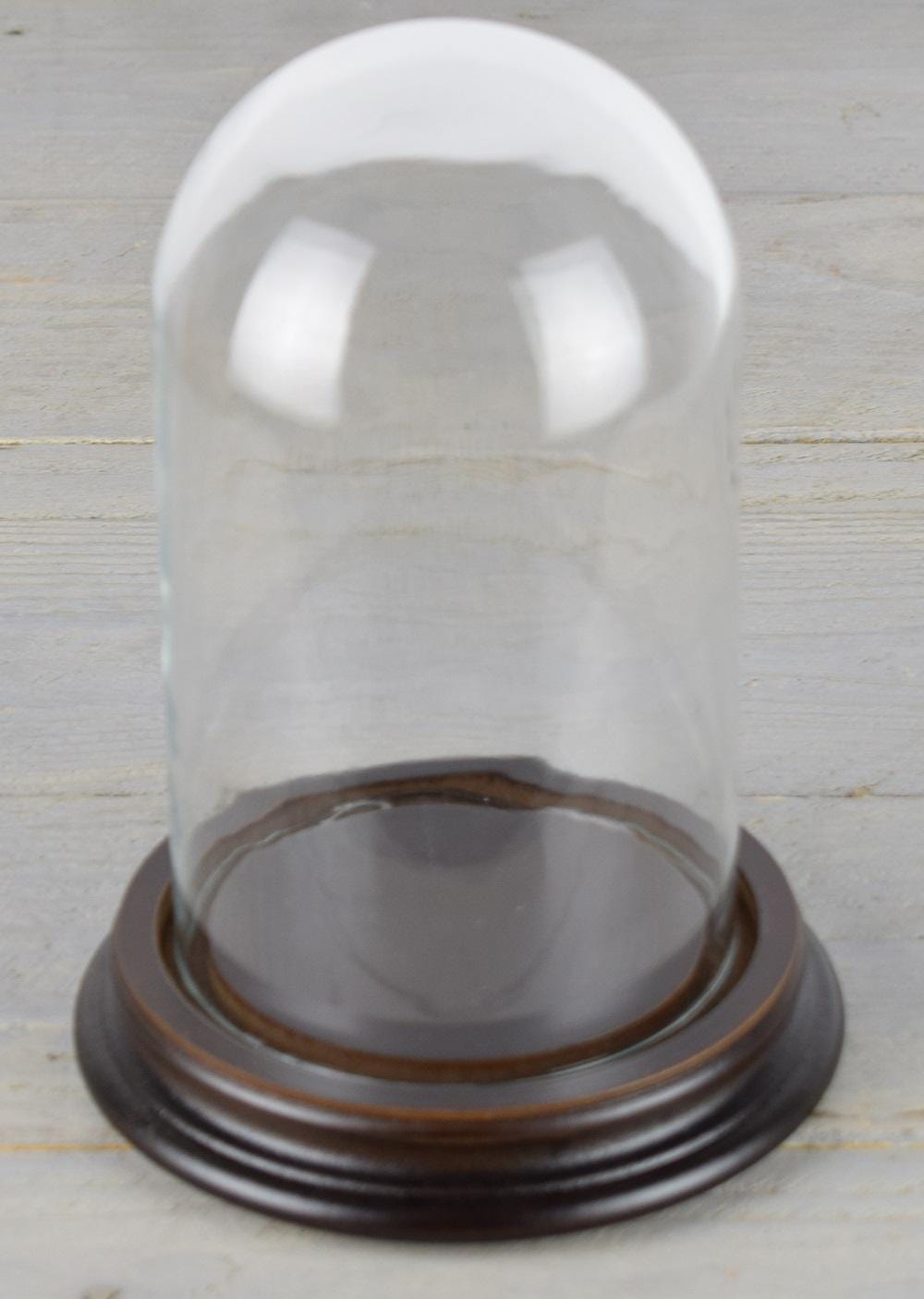 Vintage Look Small Glass Dome With Wooden Base Height 16 X 9 Cm - Etsy