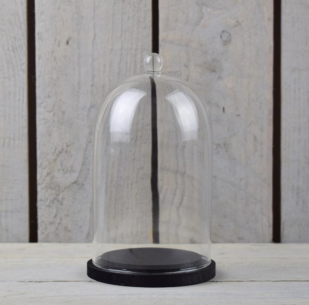 EMH Handmade Clear Circular Glass Cloche Dome Bell With Knob and Black ...