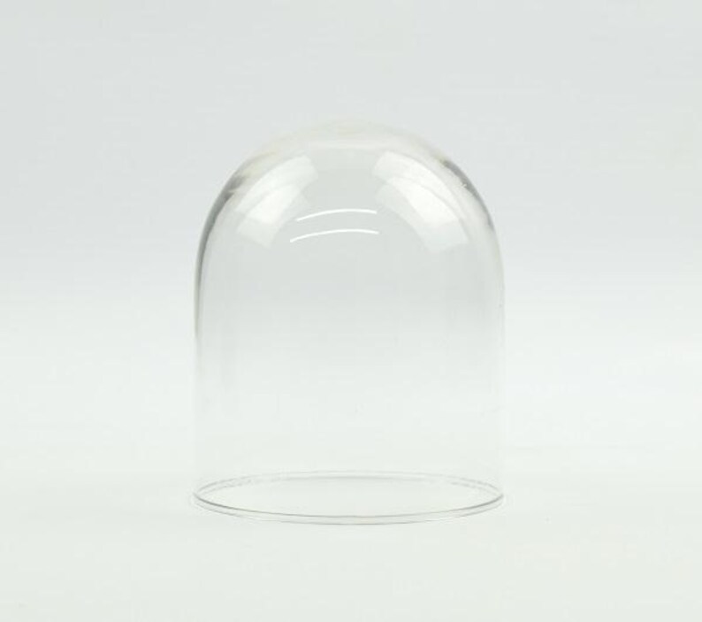 Vintage Look Small Glass Dome With Wooden Base Height 11.5 X 8 Cm - Etsy