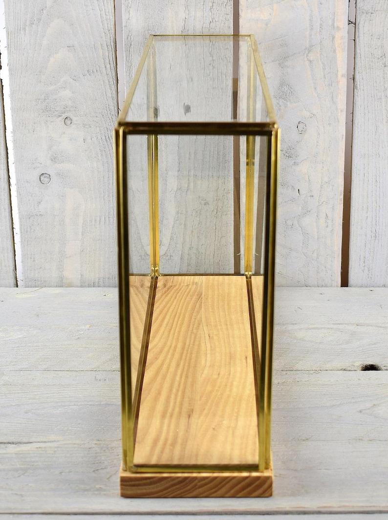 Large Glass and Brass Display Showcase Box Dome With Wooden Base Tall ...