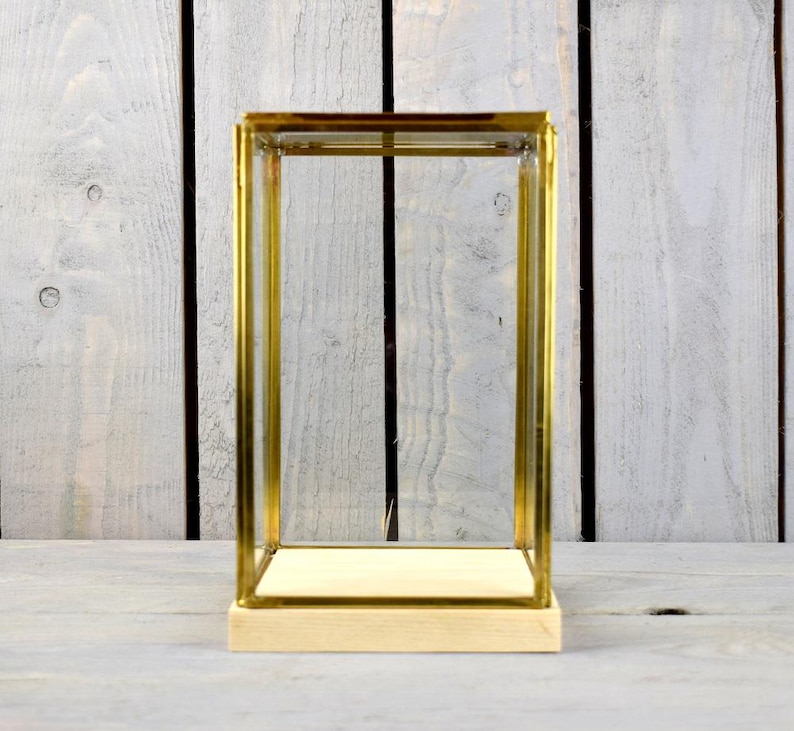 Glass and Brass Display Showcase Box Dome With Wooden Base Tall 23.5 Cm ...