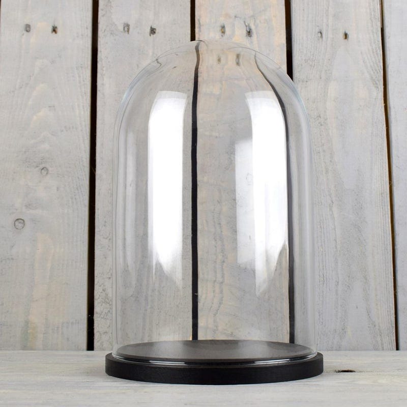 Glass Dome Cloche 30 Cm - Etsy UK