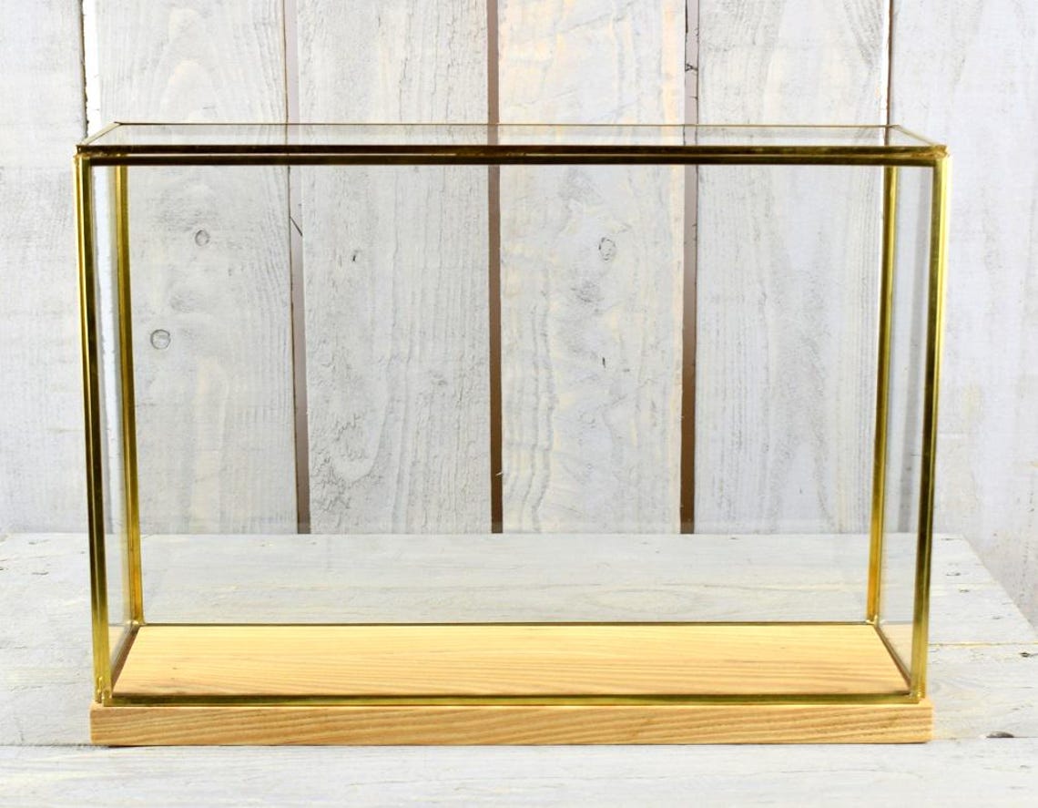 Large Glass and Brass Display Showcase Box Dome With Wooden Base Tall ...