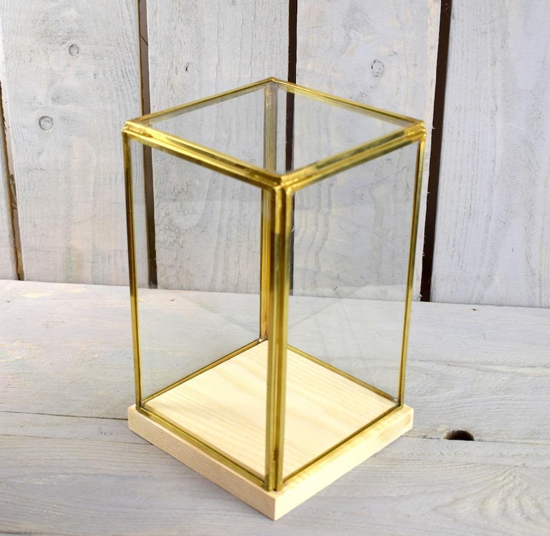 Glass and Brass Display Showcase Box Dome With Wooden Base Tall 23.5 Cm ...