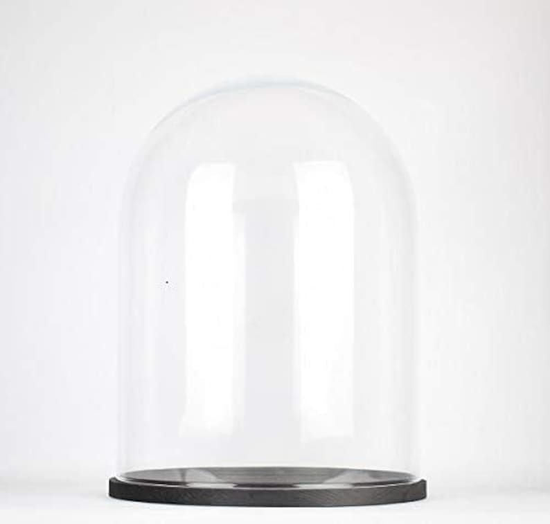 Handmade Clear Circular Large Glass Display Cloche Dome With Black ...