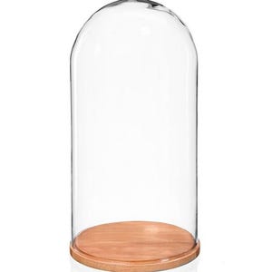 EMH Large Display Glass Dome With Natural Beech Base Height 41.5 X 16 ...