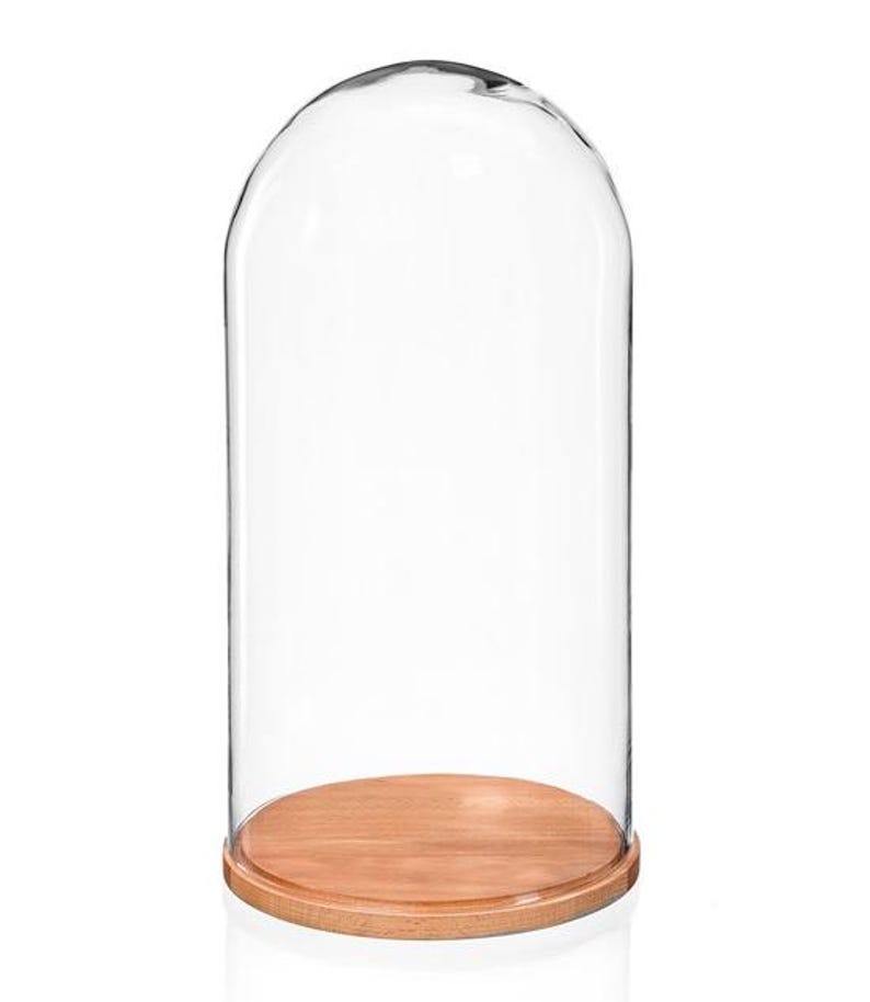 EMH Large Display Glass Dome With Natural Beech Base Height 41.5 X 16 ...