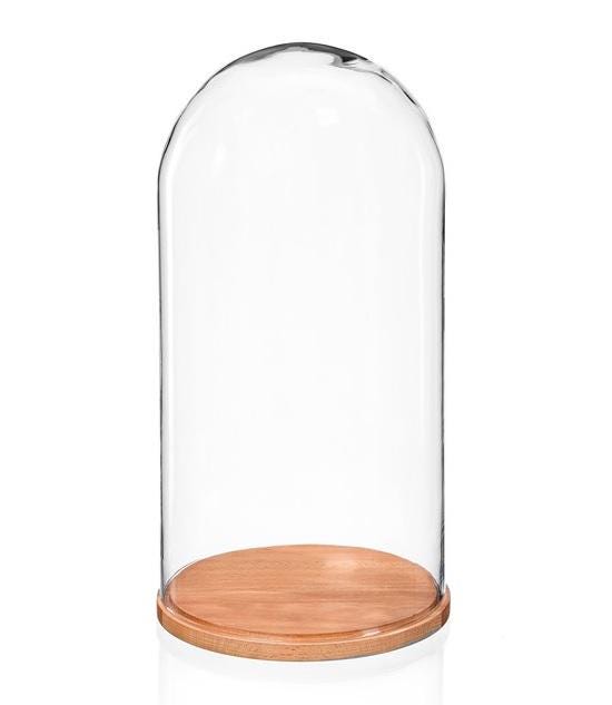 EMH Large Display Glass Dome With Natural Beech Base Height 41.5 X 16 ...