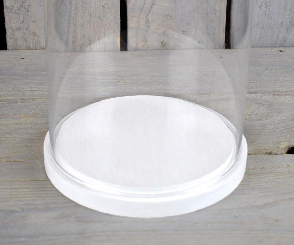 Small Glass Dome Display Cover Cloche White Wooden Base Height 27.5cm ...