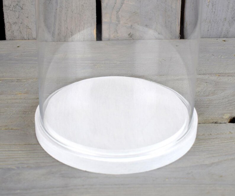 Small Glass Dome Display Cover Cloche White Wooden Base Height 27.5cm ...