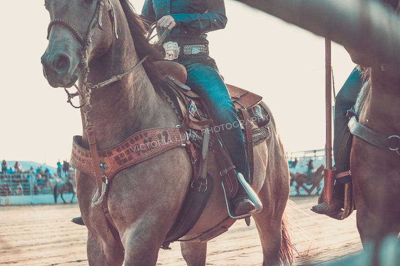 Rodeo Photography, Cowgirl Life, Western Aesthetic, Americana, Cowboys ...