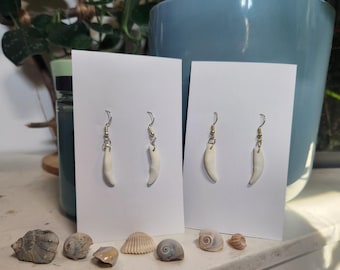 Real Coyote Fang Earrings Forestcore Fangs - Etsy