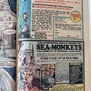 1972 Archie Comic Sabrina the Teenage Witch #8 Venus Flytrap & Sea ...