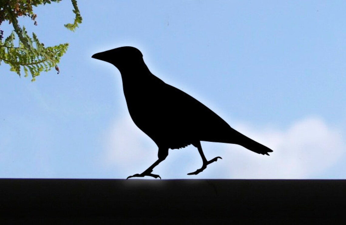 Crow Window Stickers, 3 Raven Wall Stickers, Bird Decals - Etsy