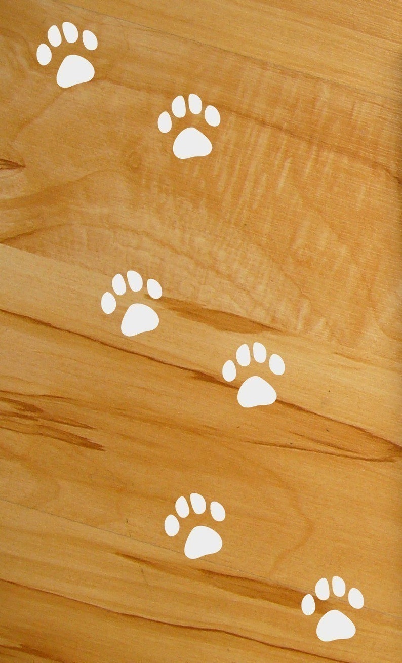 Cat Paw Stickers for Floor Wall or Window - Etsy UK