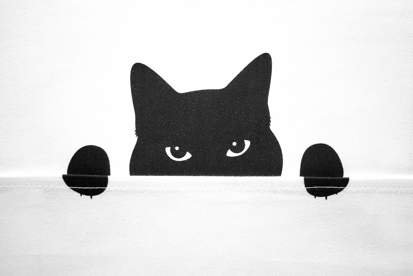 Cat Apron Kitchen Apron for a Cat Loving Chef Gift for Her - Etsy UK