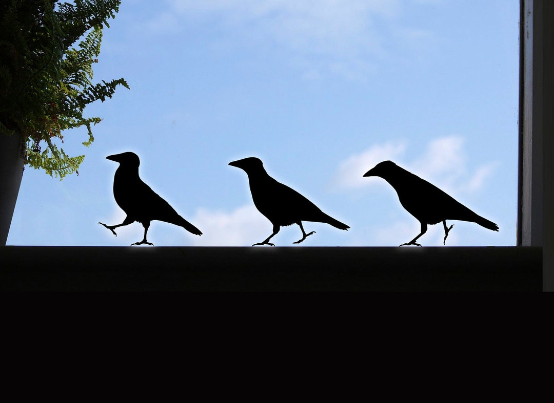 Crow Window Stickers, 3 Raven Wall Stickers, Bird Decals - Etsy