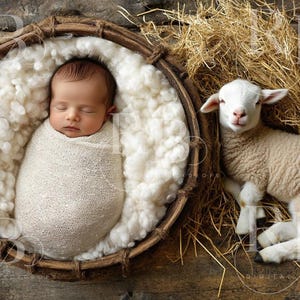 Lamb Newborn Basket White Sheep Digital Backdrop Baby Digital ...