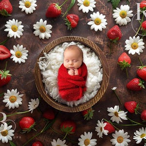 Strawberry Daisy Newborn Photography Digital Backdrop, Baby Photoshoot ...