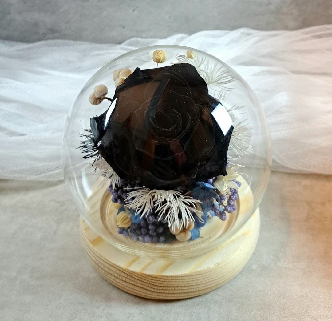Eternal Black Rose Glass Dome, Preserved Flower Gift, Gift for Her ...