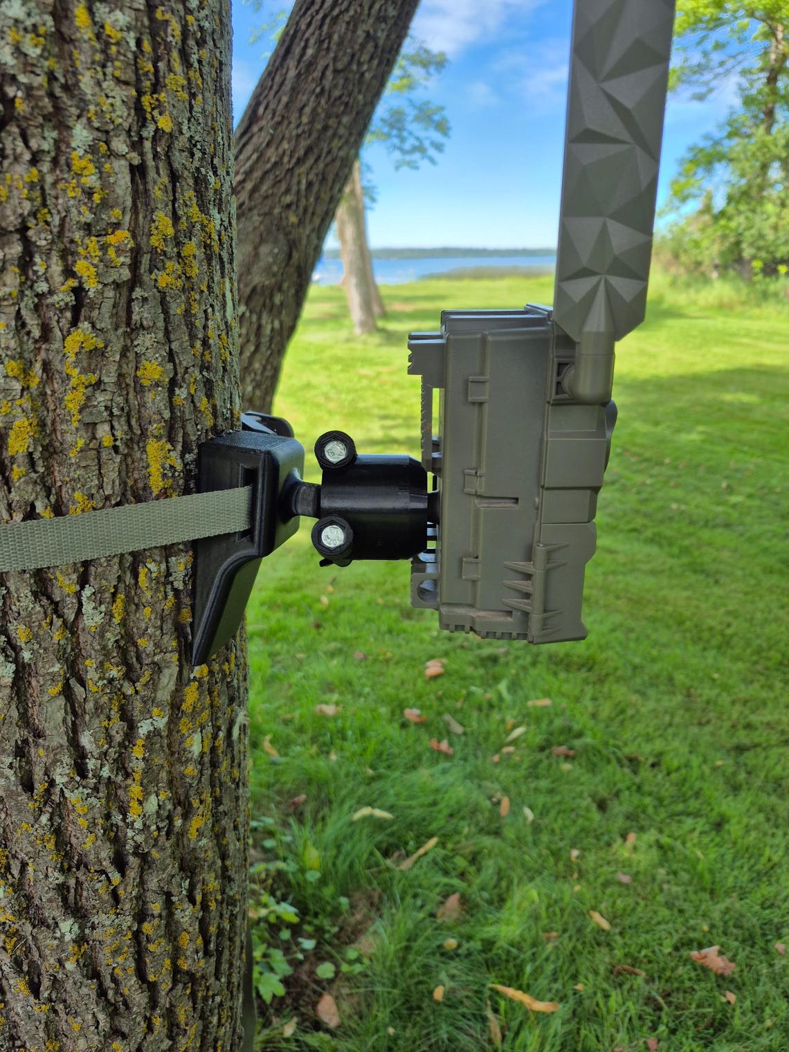 Tactacam Camera Tree Mount - Etsy