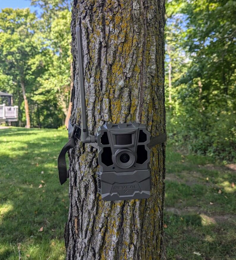 Tactacam Camera Tree Mount - Etsy