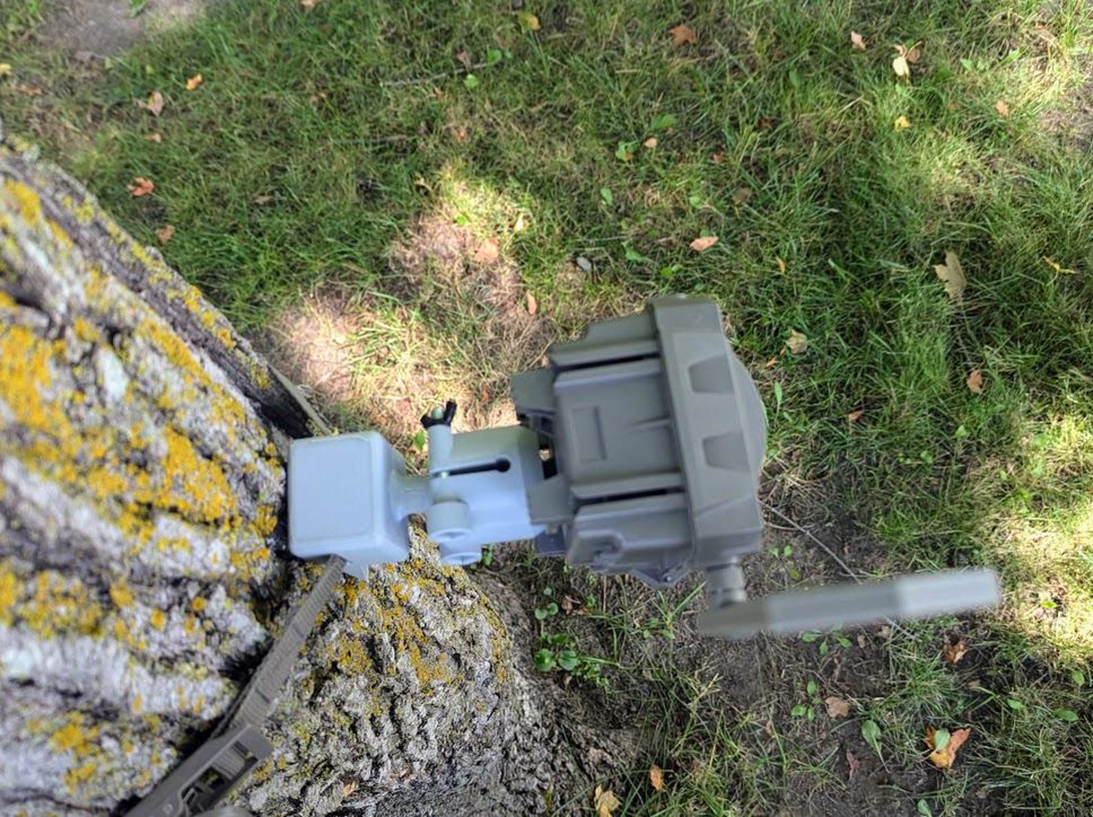 Tactacam Camera Tree Mount - Etsy
