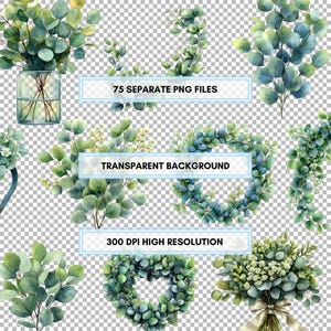 Eucalyptus Watercolor Clipart Set – 75 PNG Files | Greenery Branches ...