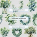 Eucalyptus Watercolor Clipart Set – 75 PNG Files | Greenery Branches ...