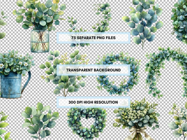 Eucalyptus Watercolor Clipart Set – 75 PNG Files | Greenery Branches ...