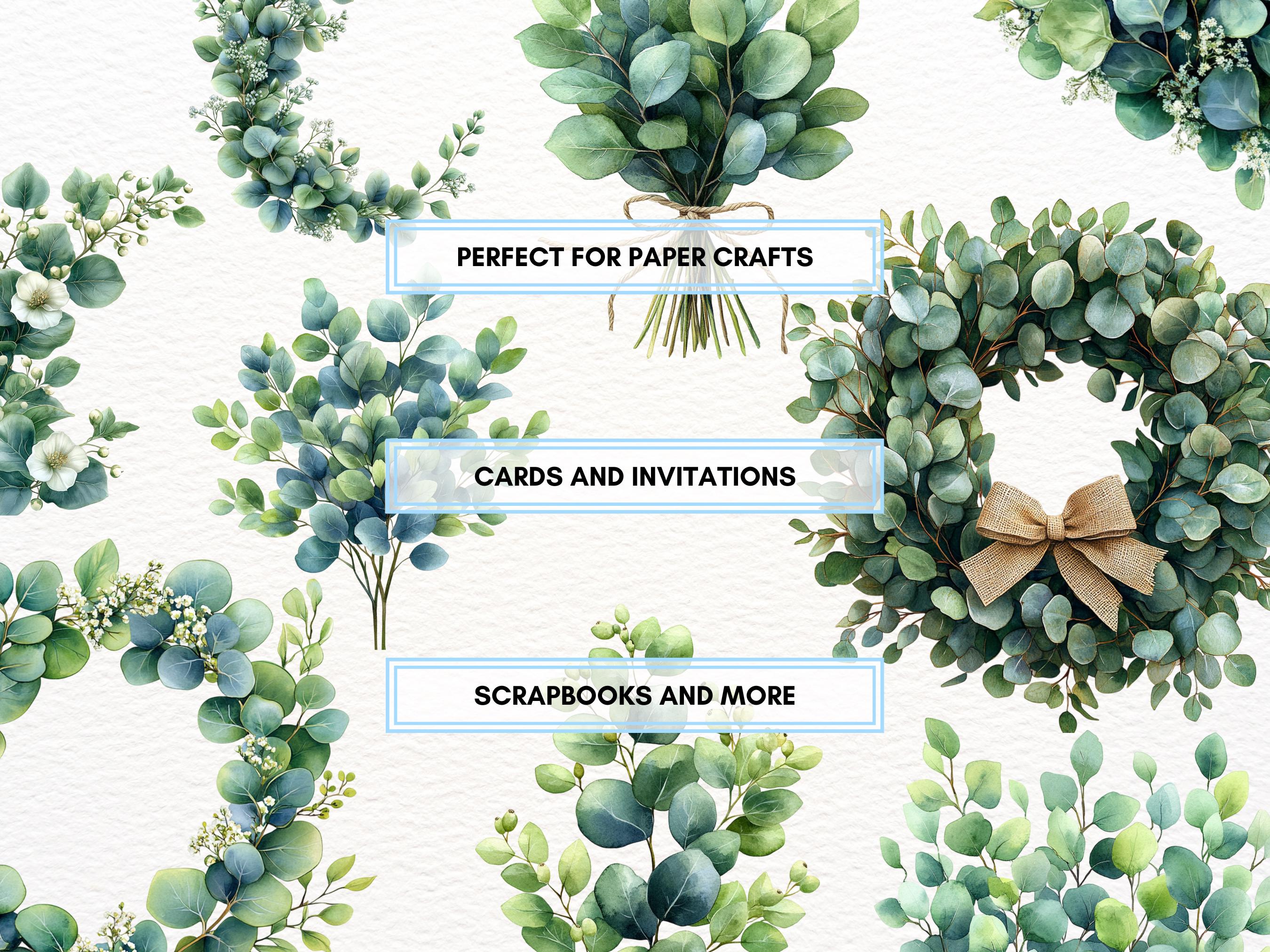 Eucalyptus Watercolor Clipart Set – 75 PNG Files | Greenery Branches ...