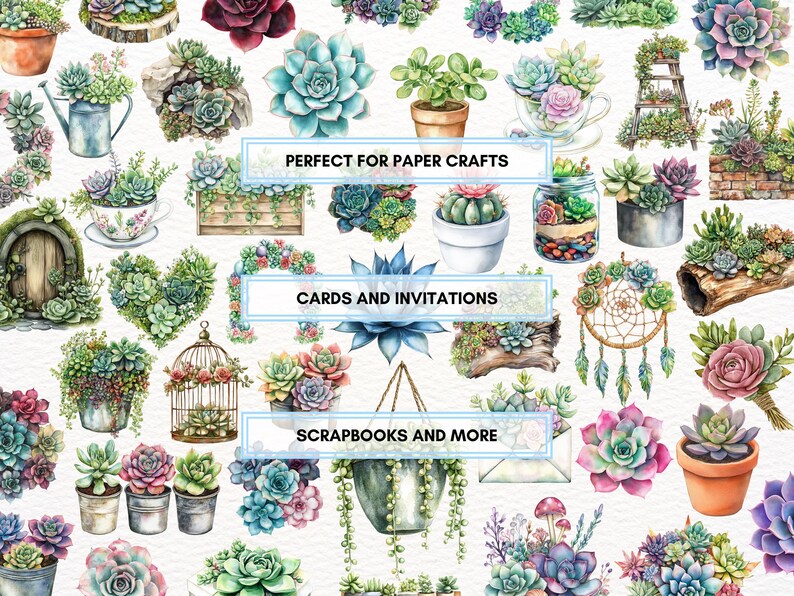 Succulent Clipart MEGA Bundle – 371 PNG Files | Watercolor Cacti ...