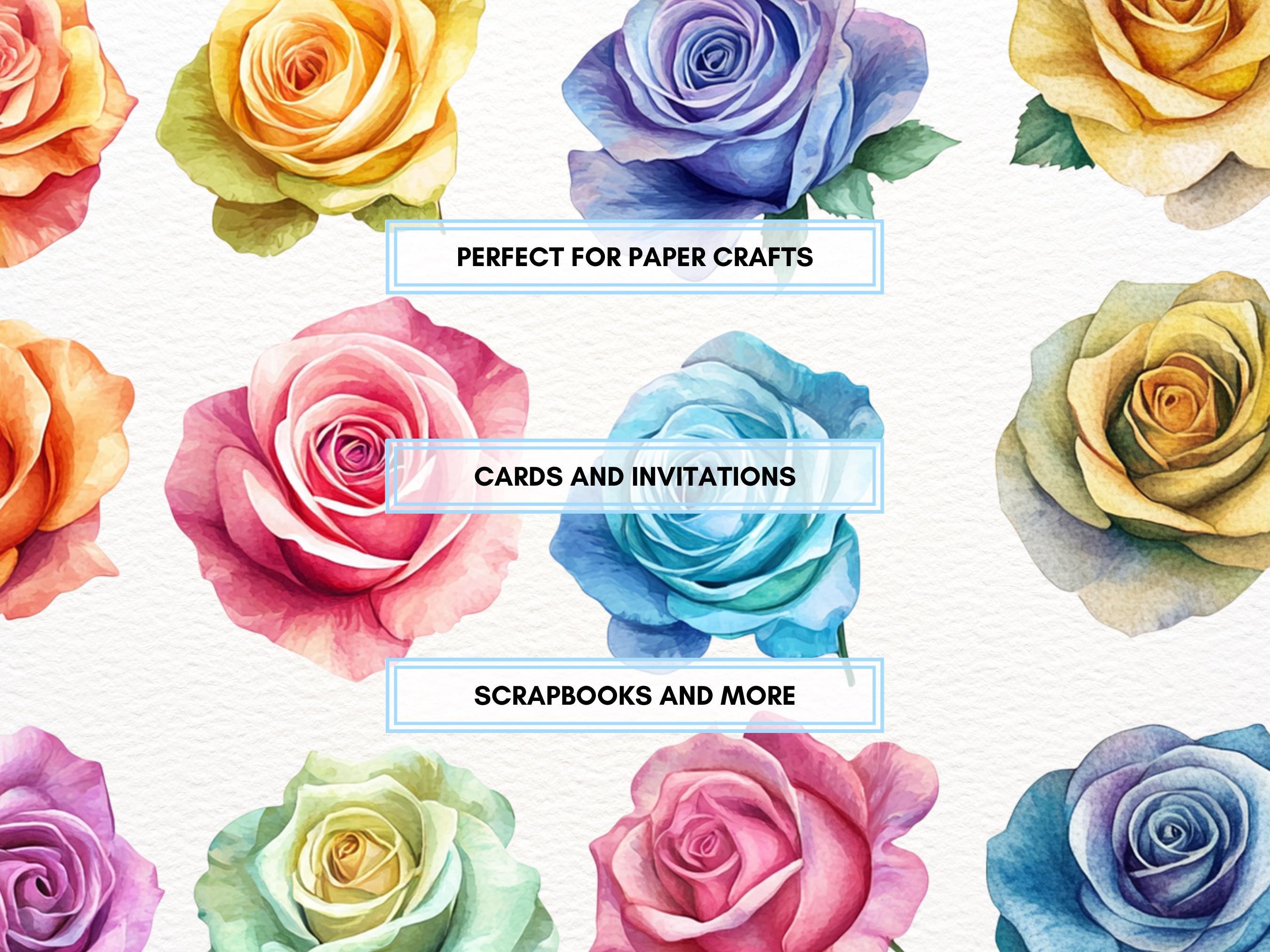 Rainbow Roses Clipart Set – Watercolor Rainbow Rose Bouquets & Stems ...