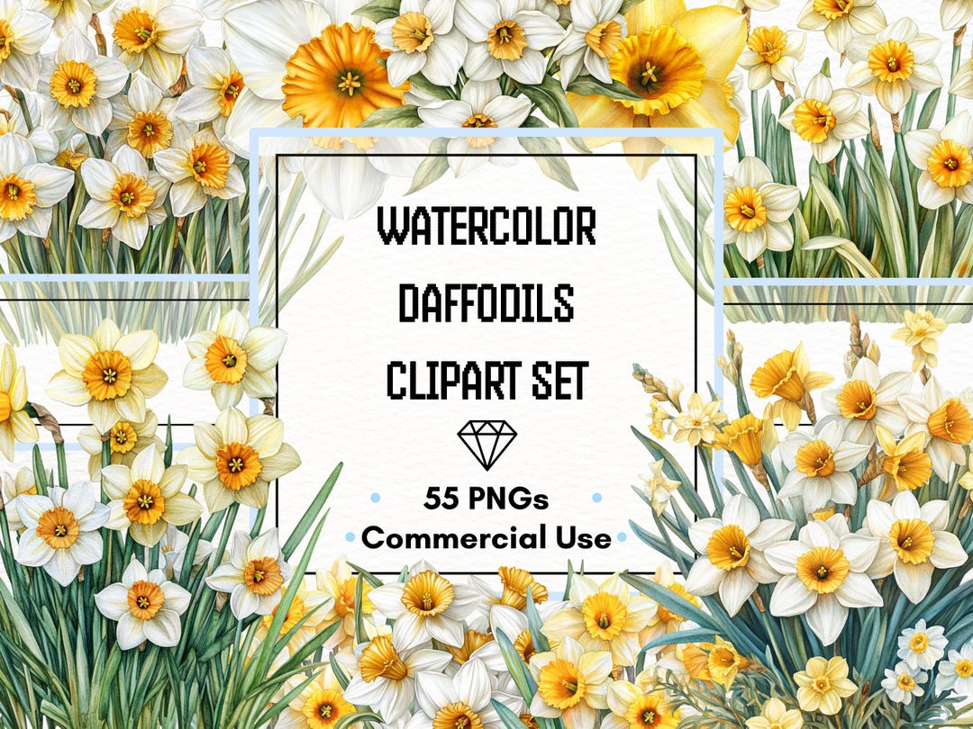 Daffodils Clipart Set – Watercolor Spring Blooms & Borders | 55 PNG ...