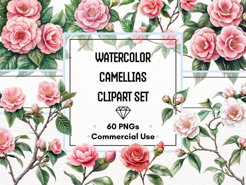 Camellia Clipart Set – Watercolor Blooms, Stems & Bouquets | 60 PNG ...