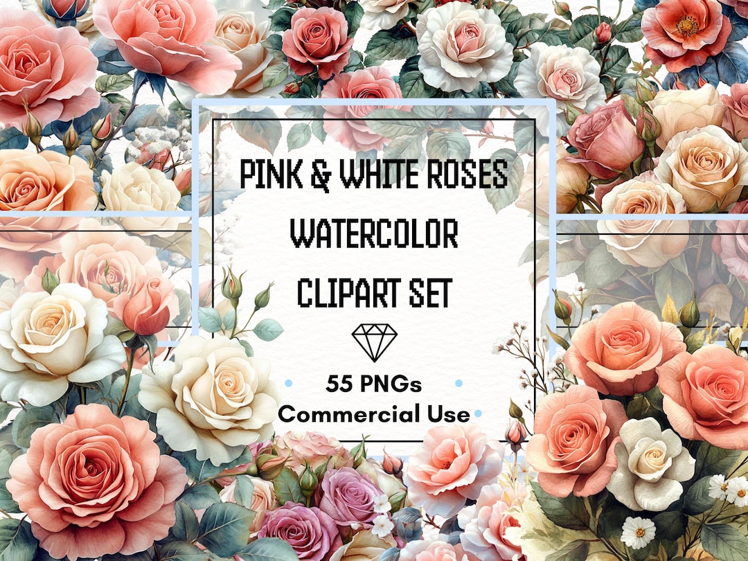 Roses Clipart Set – Soft Pink and White Watercolor Flowers, Bouquets ...
