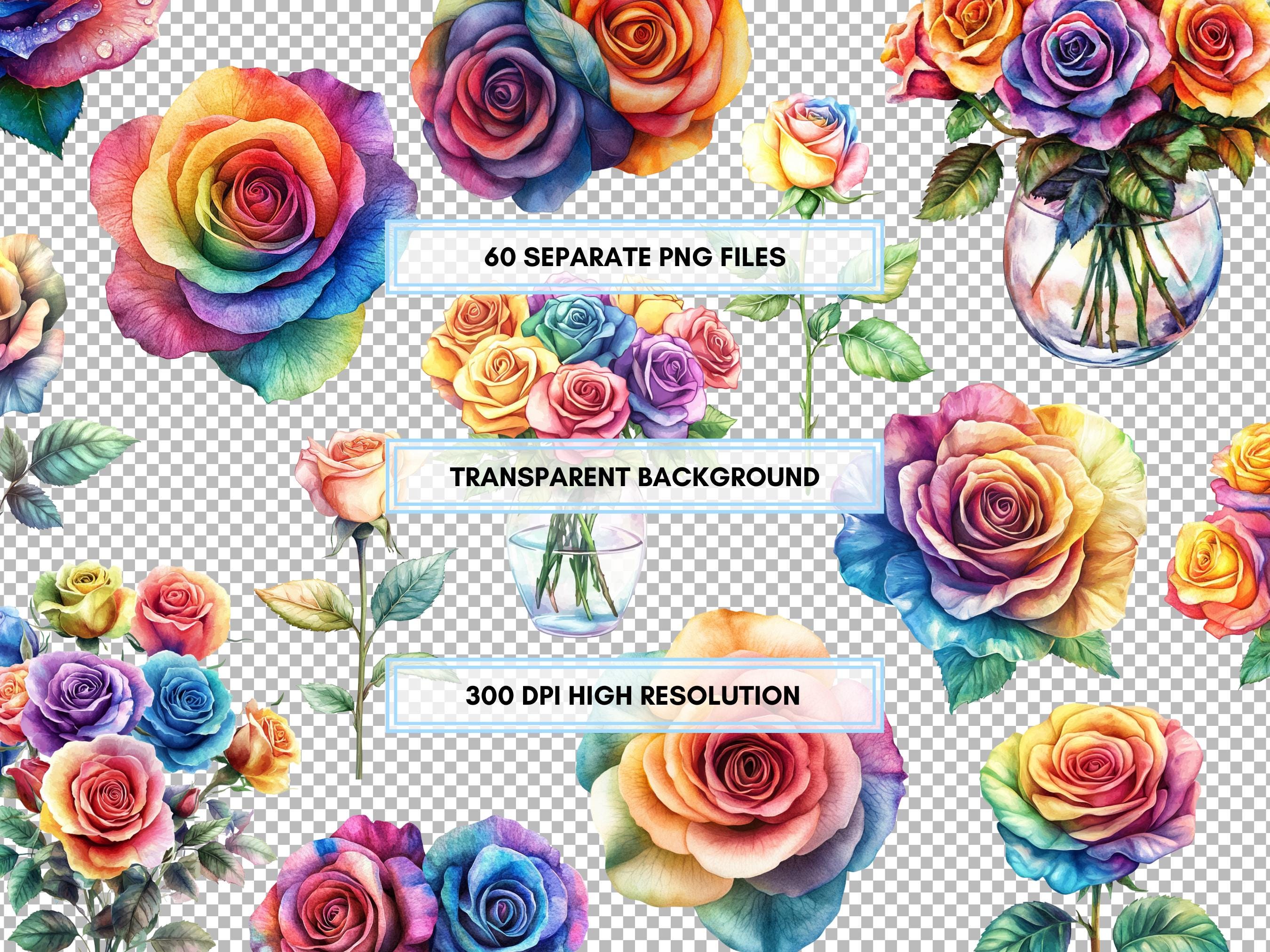 Rainbow Roses Clipart Set – Watercolor Rainbow Rose Bouquets & Stems ...